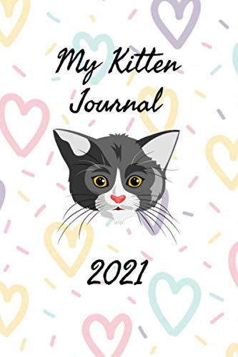 My Kitten Journal: daily life of me and my cute cat, when he's being ...