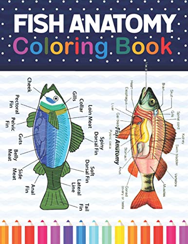 Fish Anatomy Coloring Book: Fish Anatomy Coloring Workbook for Kids ...