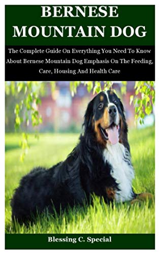 Bernese Mountain Dog: The Complete Guide On Everything You Need To Know ...
