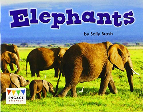 Elephants by Sally Brash | Goodreads