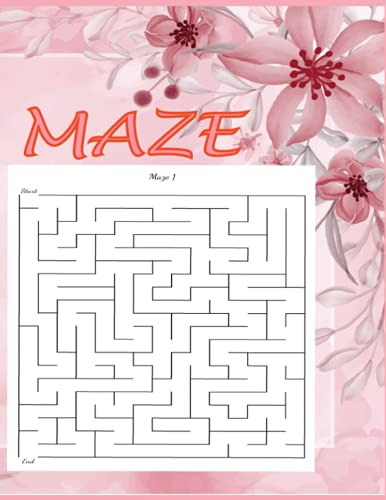 Maze: Fun and Challenging Mazes for Kids : An Amazing Maze Activity ...