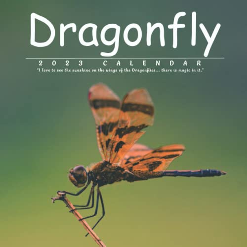 Dragonfly Calendar 2023: Gorgeous 8.5"x8.5" Mini Calendar 2023 with ...