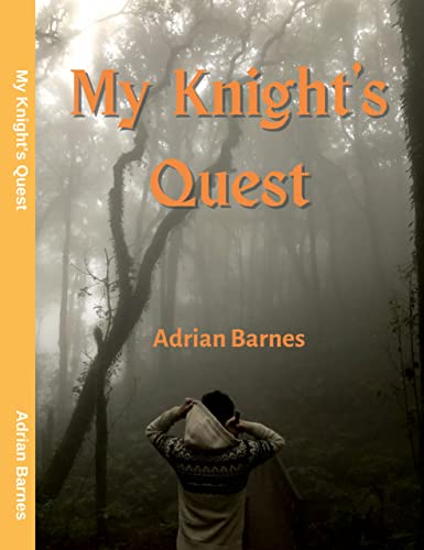 My Knight's Quest: The story of a transwoman’s search to find a space ...