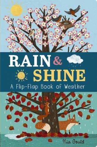 Rain and Shine: A Flip-Flap Book of Weather by Molly Littleboy | Goodreads