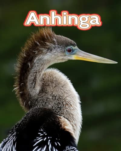 Anhinga: Facts Book (Fun Facts Book For Kids) by Lina Höfler | Goodreads
