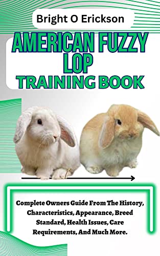 American Fuzzy Lop Rabbit