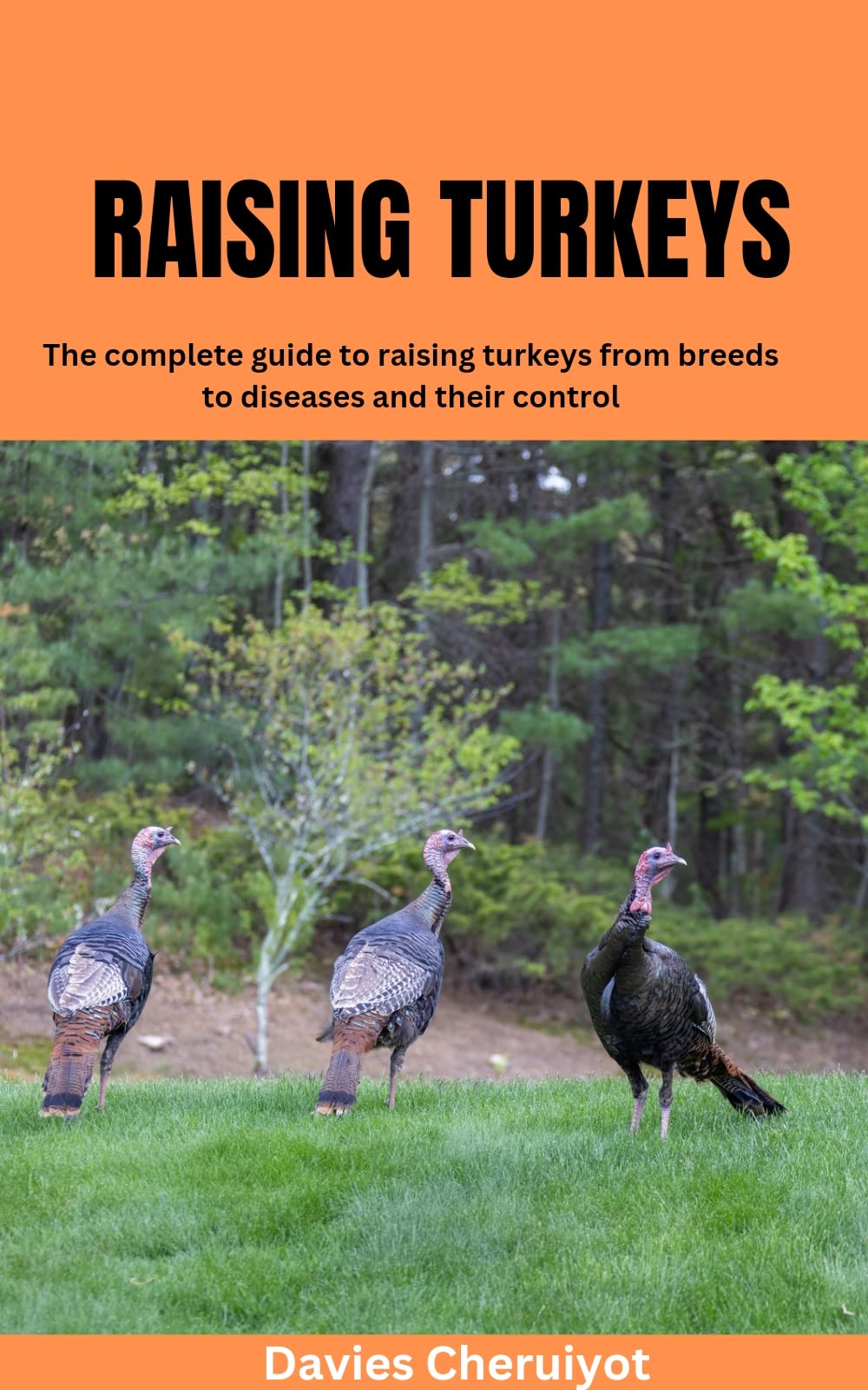 RAISING TURKEYS: The complete guide to raising turkeys from breeds to ...