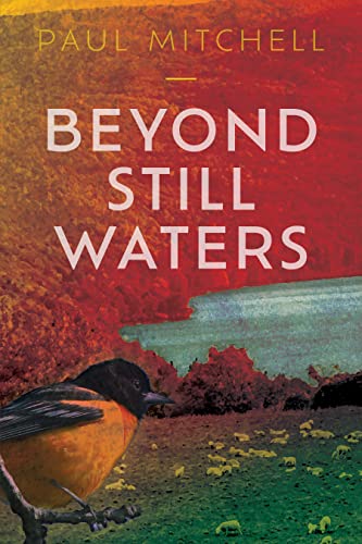 Beyond Still Waters by Paul Mitchell | Goodreads
