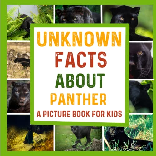 Unknown Facts About the Panther (A Picture Book For Kids): 50 Facts ...