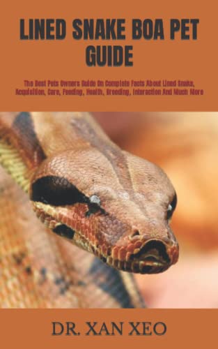 LINED SNAKE BOA PET GUIDE: The Best Pets Owners Guide On Complete Facts ...