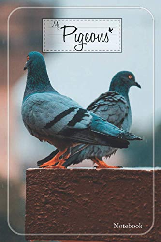 My pigeons | notebook for pigeon fanciers and pigeon keepers breeder ...