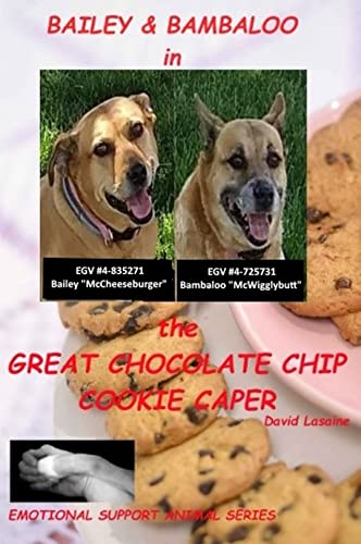 Bailey and Bambaloo in The Great Chocolate Chip Cookie Caper by David ...
