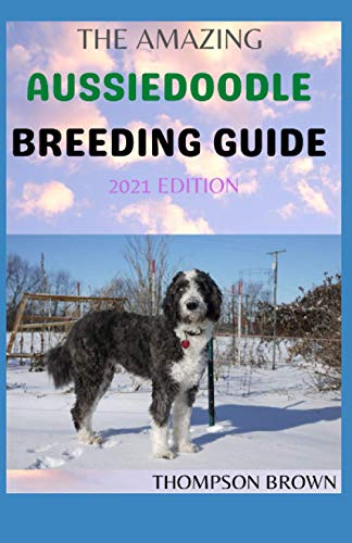THE AMAZING AUSSIEDOODLE BREEDING GUIDE 2021 EDITION: Unique Way In ...