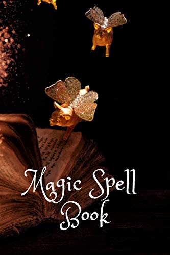 Magic Spell Book: Blank Grimoire, Note your spells by Pedro Oswaldo ...