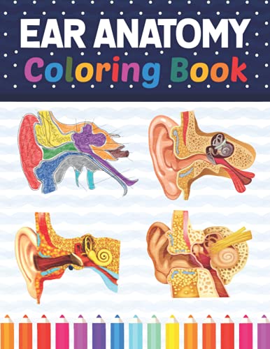 Ear Anatomy Coloring Book: Human Ear and Human Anatomy Learning ...