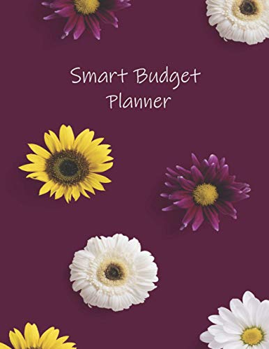 Smart Budget Planner: Household and personal monthly and weekly budget ...