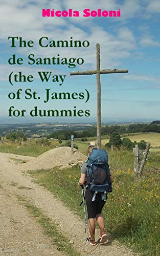The Camino de Santiago (the Way of St. James) for dummies: Tips and ...