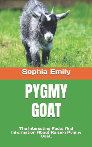 PYGMY GOAT: The Interesting Facts And Information About Raising Pygmy ...