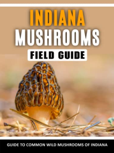 Mushrooms of Indiana: Identification Field Guide to Common Wild ...