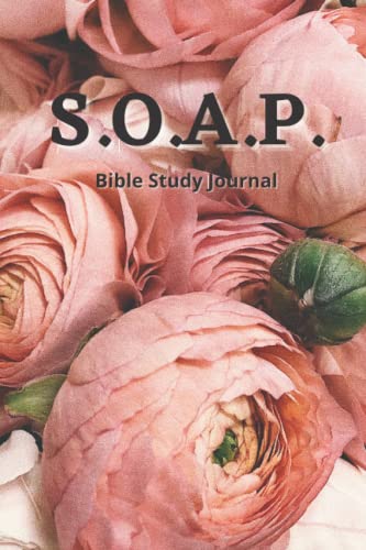 SOAP (Scripture, Observation, Application, Prayer) Method Bible Study ...