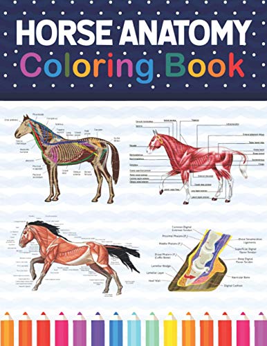 Horse Anatomy Coloring Book: Horse Art & Anatomy Coloring Workbook for ...