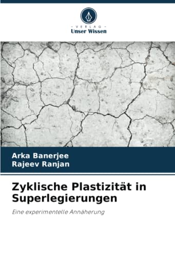 Zyklische Plastizität in Superlegierungen: Eine experimentelle ...