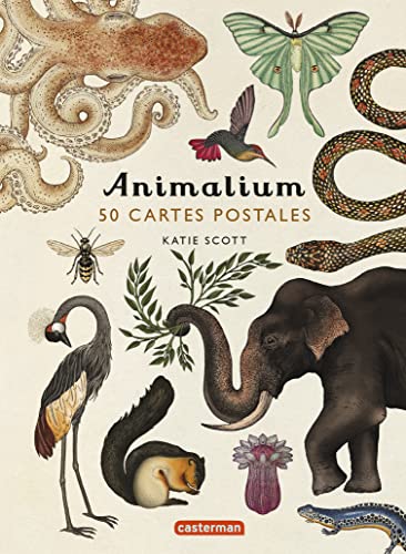 Animalium: 50 cartes postales by Katie Scott | Goodreads