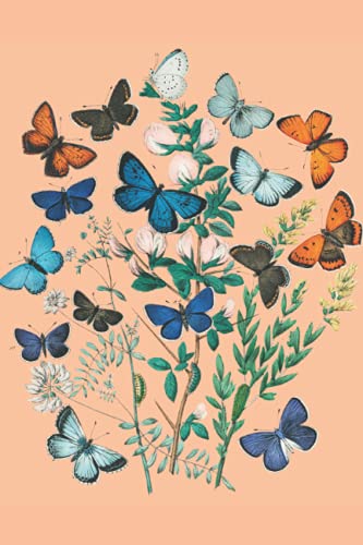 Cottagecore Butterfly Notebook: Cottagecore Lined Notebook, 6"x9",120 ...