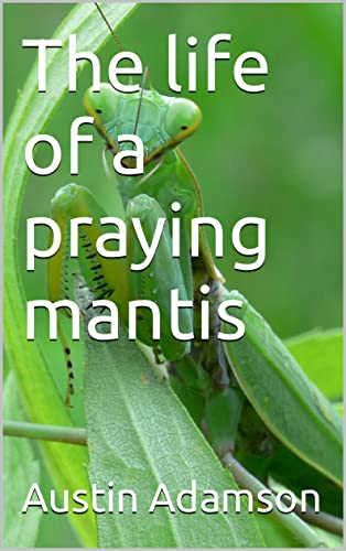 Тhe life of a praying mantis by Austin Adamson | Goodreads