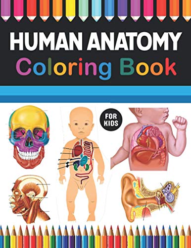 Human Anatomy Coloring Book For Kids Musculoskeletal Cardiology