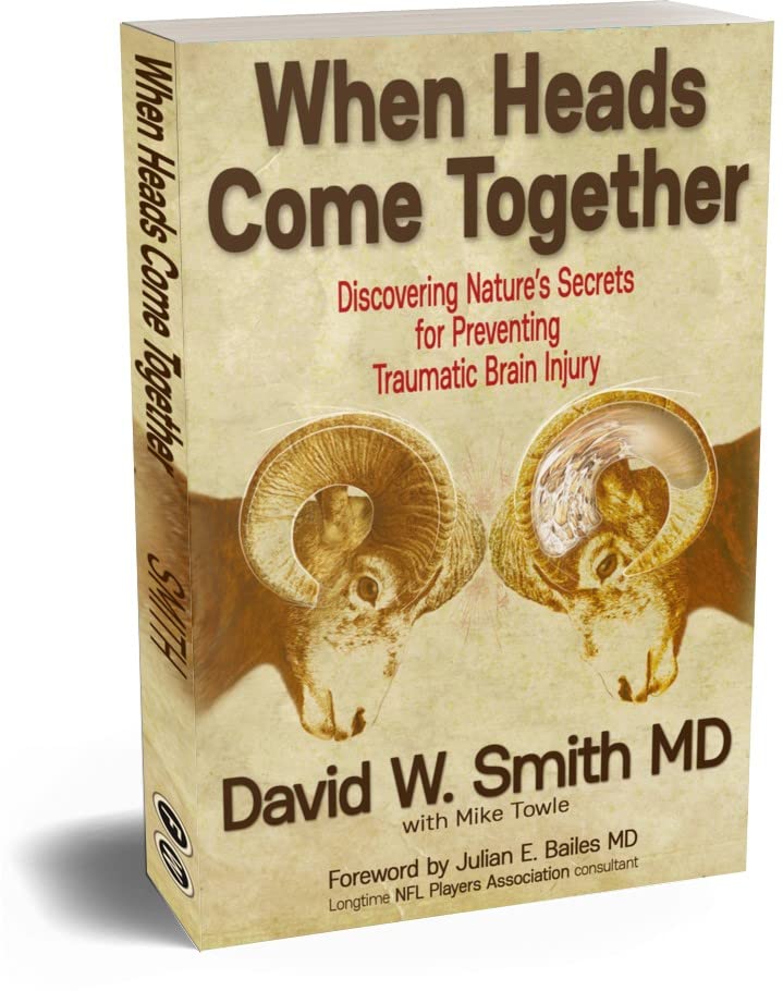 When Heads Come Together: Discovering Nature's Secrets for Preventing Traumatic Brain Injury by ...