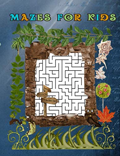 Mazes for Kids: 61 Mazes Beautiful Design with 3D Mazes Activity Book ...