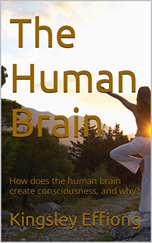 The Human Brain: How does the human brain create consciousness, and why ...