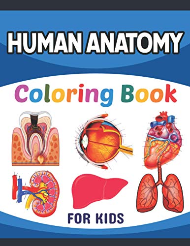 Human Anatomy Coloring Book For Kids: Collection of Simple ...