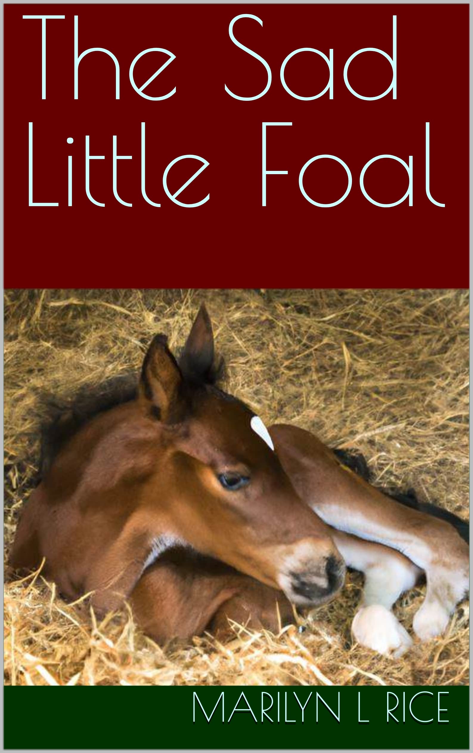 The Sad Little Foal: A magical moving horse story for all ages. by ...