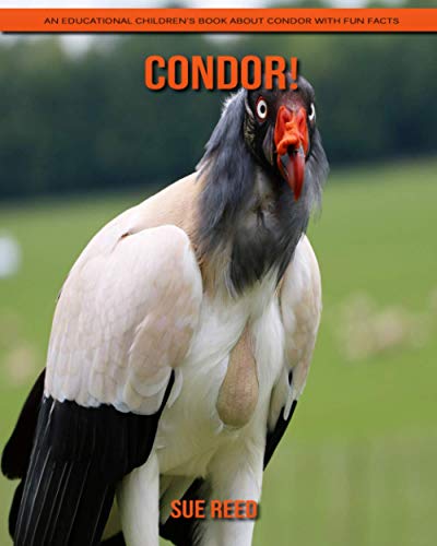 Condor! An Educational Children's Book about Condor with Fun Facts by ...