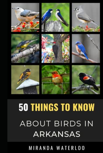 50 Things to Know About Birds in Arkansas: Birding in the Natural State ...