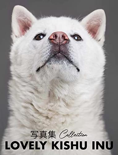Lovely Kishu Inu 写真集 Collection: Heartwarming photos filled with ...