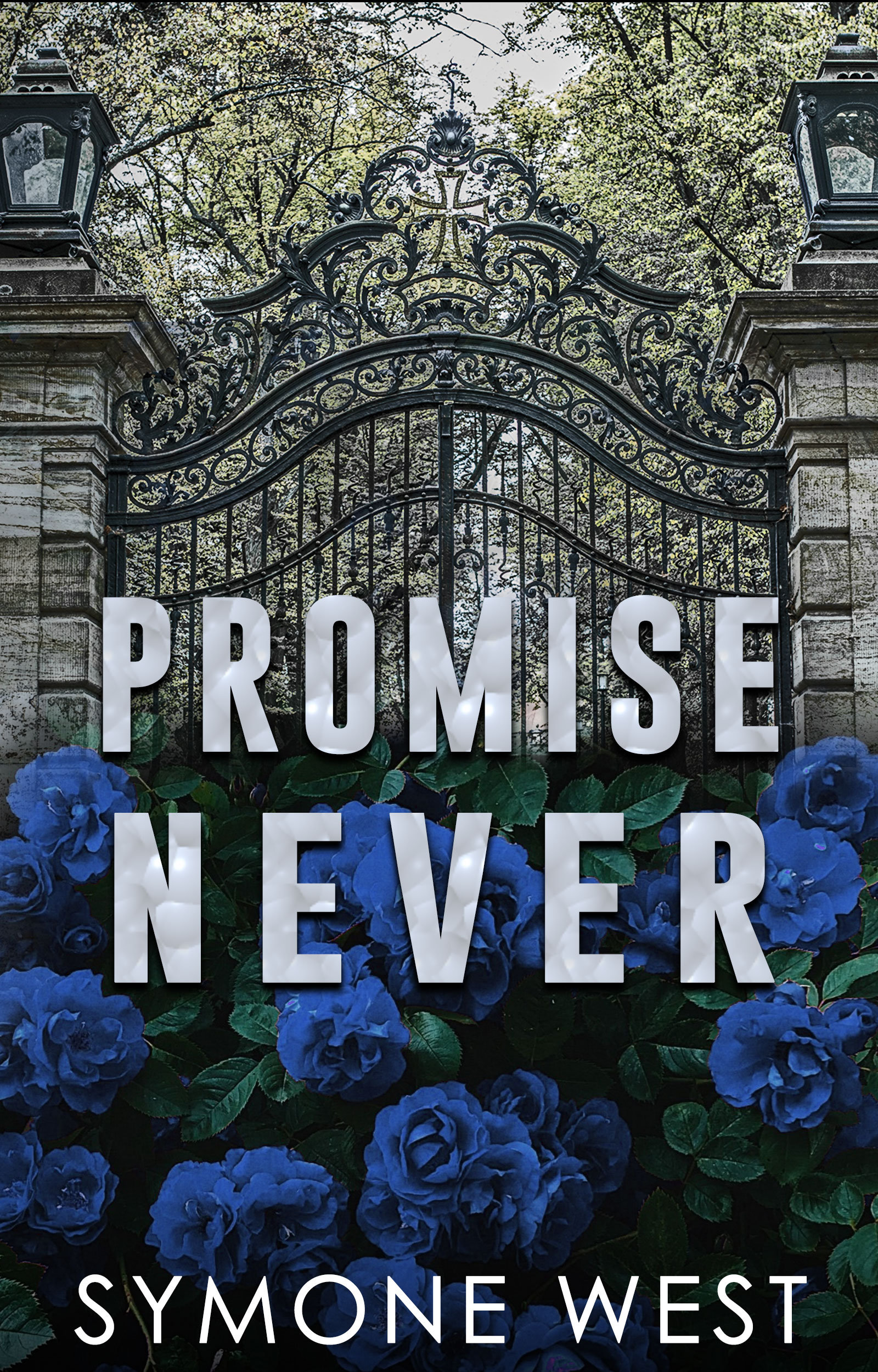 Promise Never (Promise Me) by Symone West | Goodreads