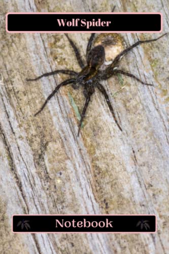 Wolf Spider Notebook by Robyo Publishing | Goodreads