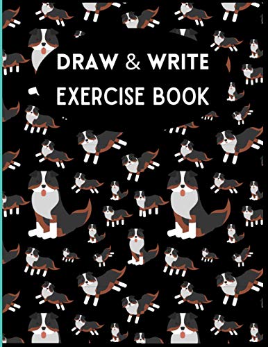 Draw & Write Exercise Book: writing journal for young writers Page ...