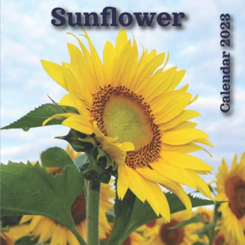 Sunflower Calendar 2023: 18 Month Sunflower Calendar 2023 : July 2022 ...