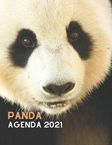 Panda Agenda 2021: Agenda, Calendar and Planner for panda lovers and ...