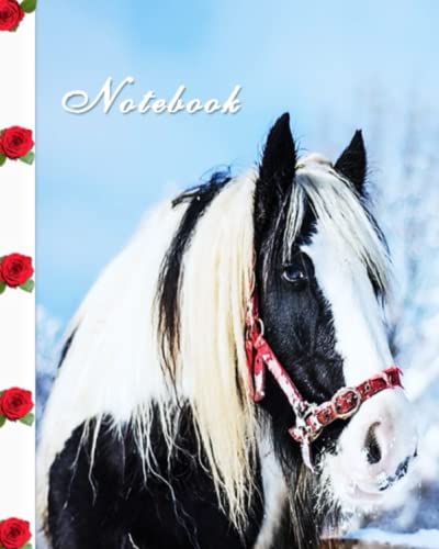 NOTEBOOK: PONY WIDE RULED NOTEBOOK FOR KIDS, BOYS GIRLS WOMEN TEENS ...