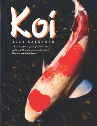 Koi Calendar: 18-Month Calendar 2023 - Fantastic Calendar - Gifts For ...