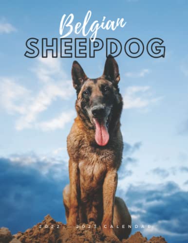 Belgian Sheepdog Calendar: Beautiful Calendar Gift for Family, Friends ...