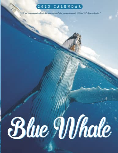 Blue Whale Calendar: 18-Month Calendar 2023 - Fantastic Calendar ...