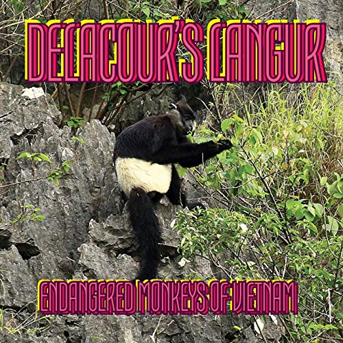 DELACOUR'S LANGUR ENDANGERED MONKEYS OF VIETNAM: One of the world's ...