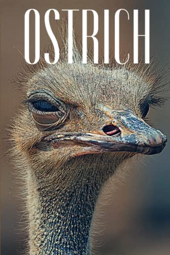 Lined Writing Note Pads for notes and ideas with ostrich image cover ...