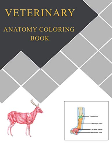Veterinary Anatomy Coloring Book: Anatomy Coloring Book For Adults ...